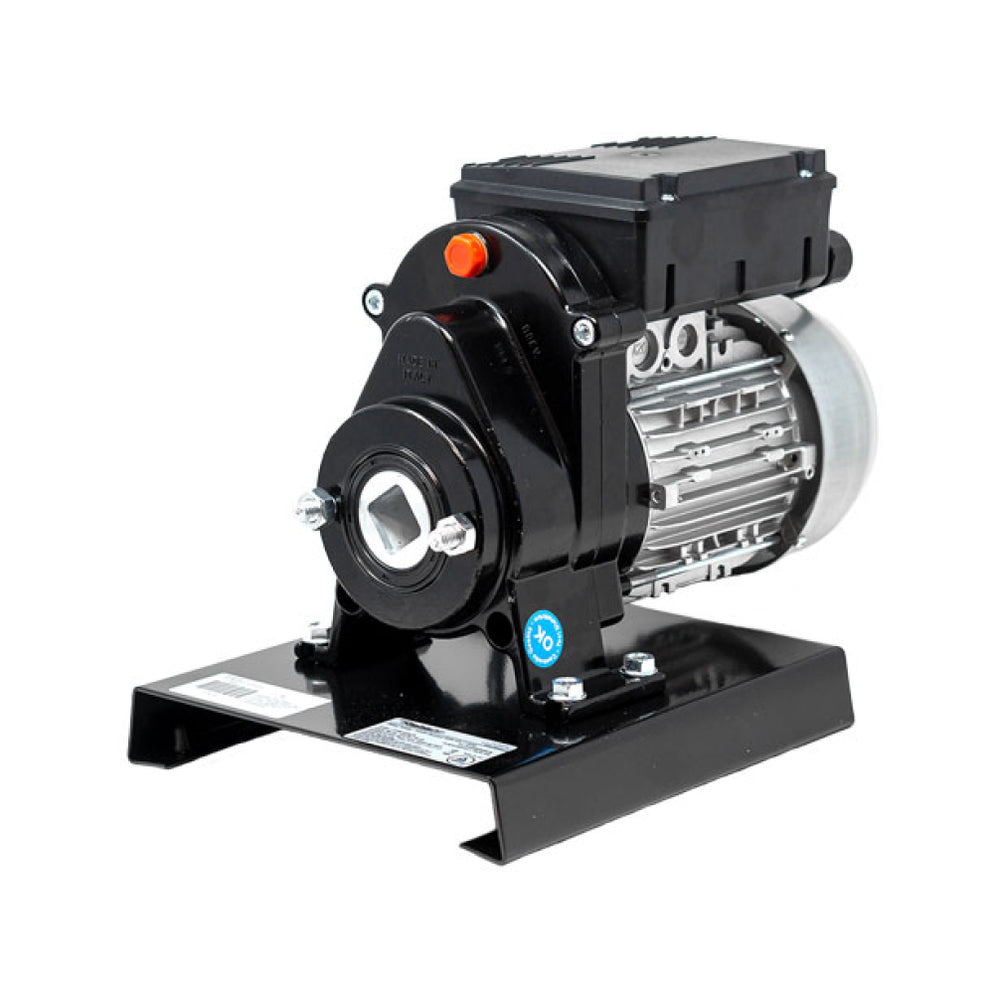 Nella 0.40 hp Electric Tomato Squeezer Machine — Nella Online